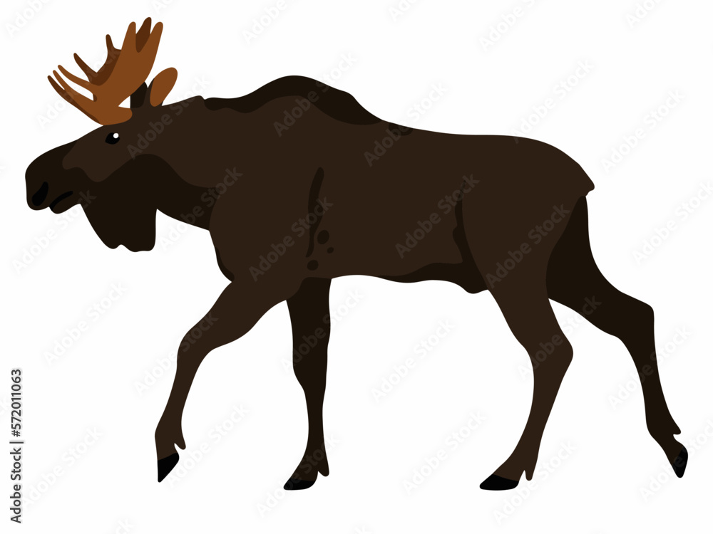 walking moose cartoon vector illustration isolated on white Stock ...