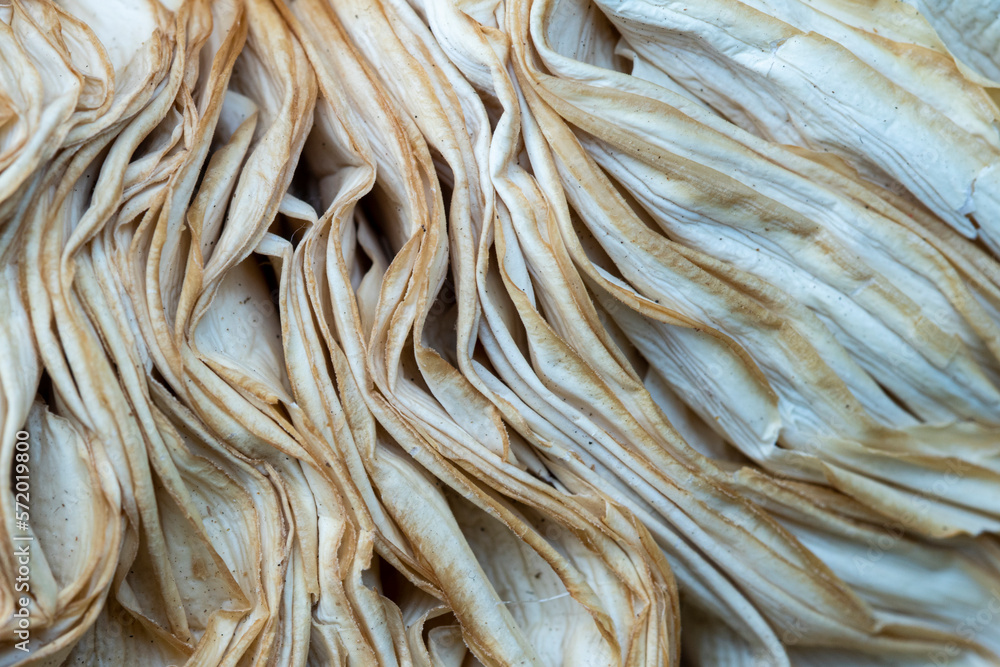 Texture of mushroom surface in nature Stock Photo | Adobe Stock