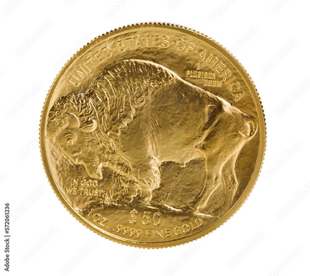 Reverse side of American Gold Buffalo coin on transparent background ...