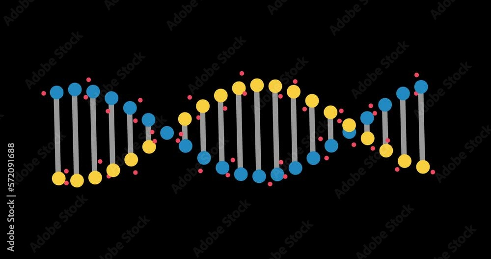 Animation of abstract DNA fragment with seamless loop on black ...
