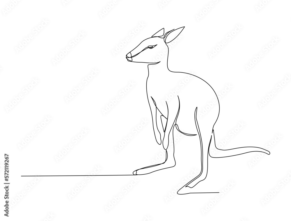 Continuous one line drawing of kangaroo . Simple illustration of ...