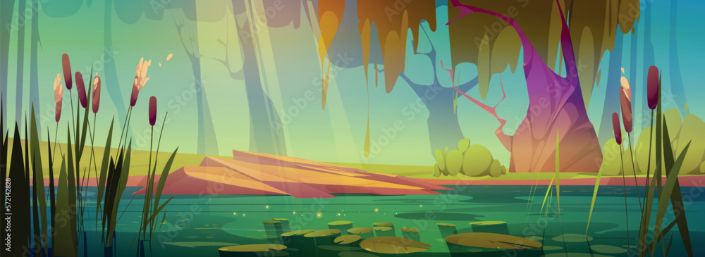 Background with swamp or pond in jungle forest. Wetland landscape with ...