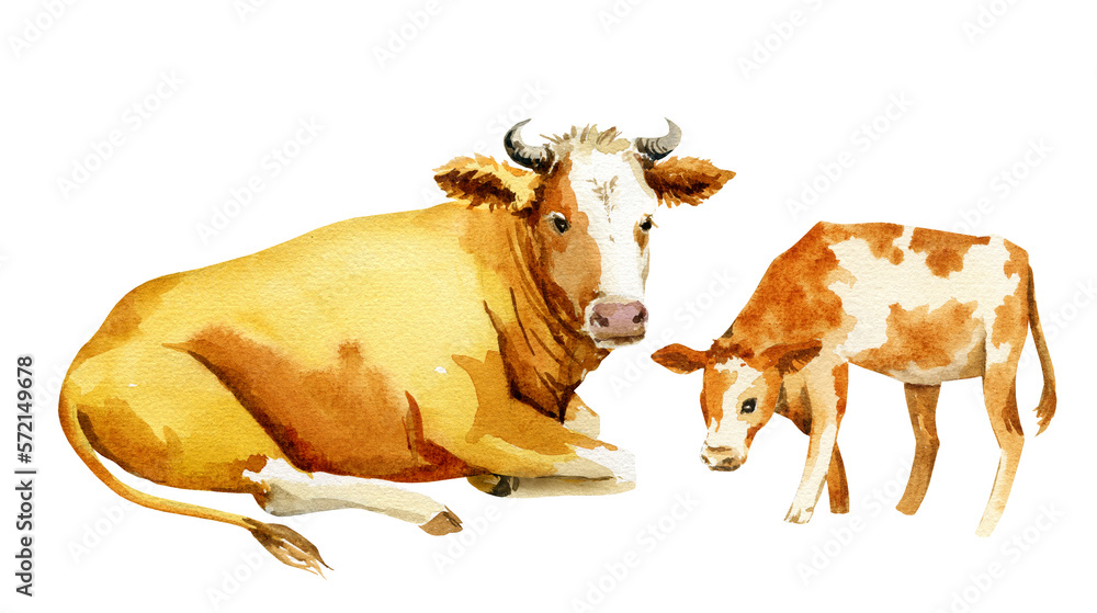 illustration of a cow with a calf, watercolor sketch of a cow and a ...