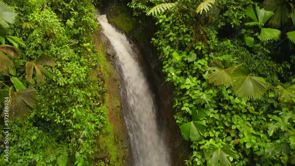 Detailed footage of stream flowing on rock overgrown with moss. Water ...