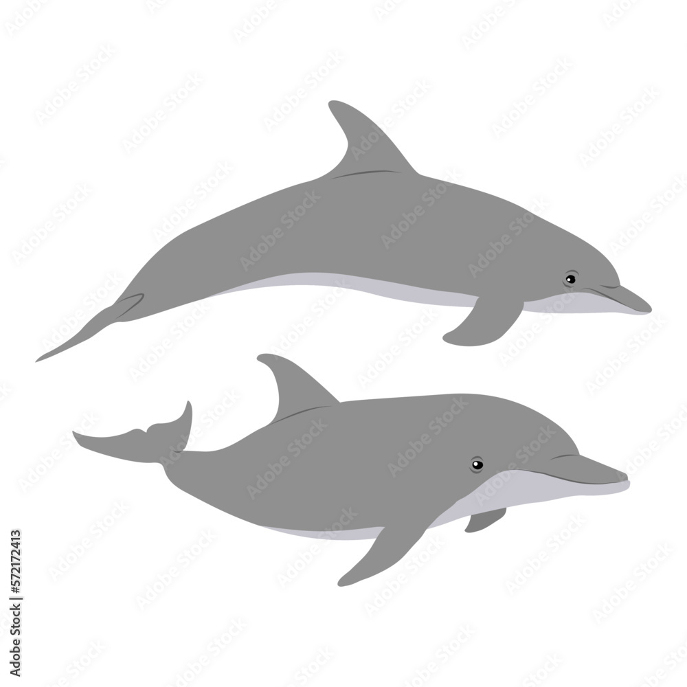 Collection of two Common bottlenose dolphins. Realistic vector ...