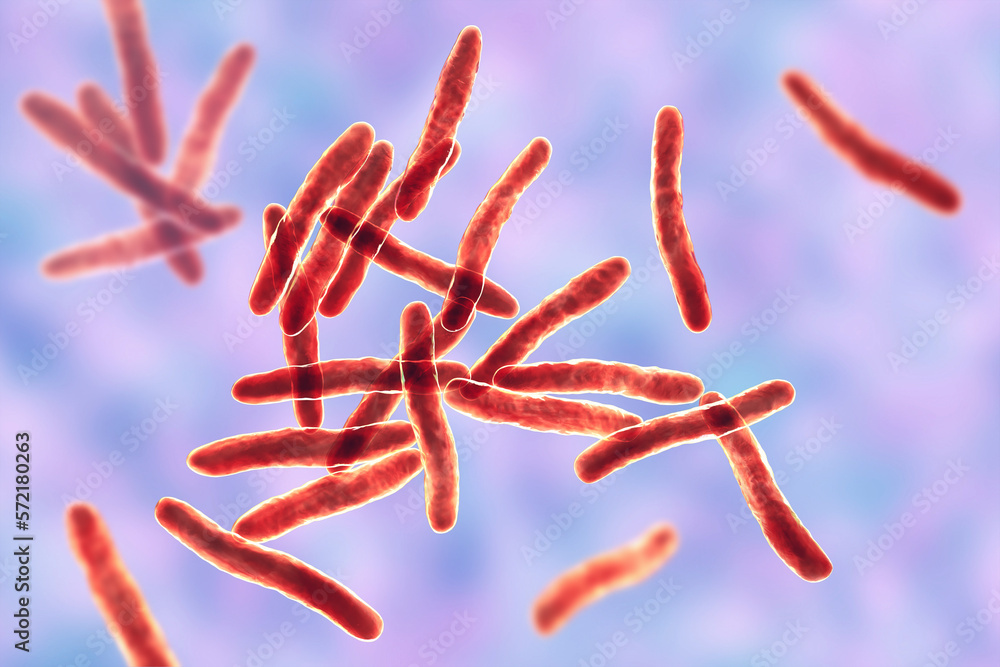 Mycobacterium ulcerans, the causative agent of Buruli ulcer, 3D ...