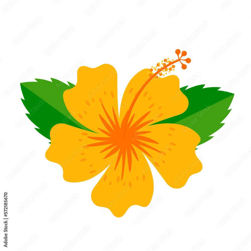 yellow hibiscus flower flat vector illustration clipart isolated on ...