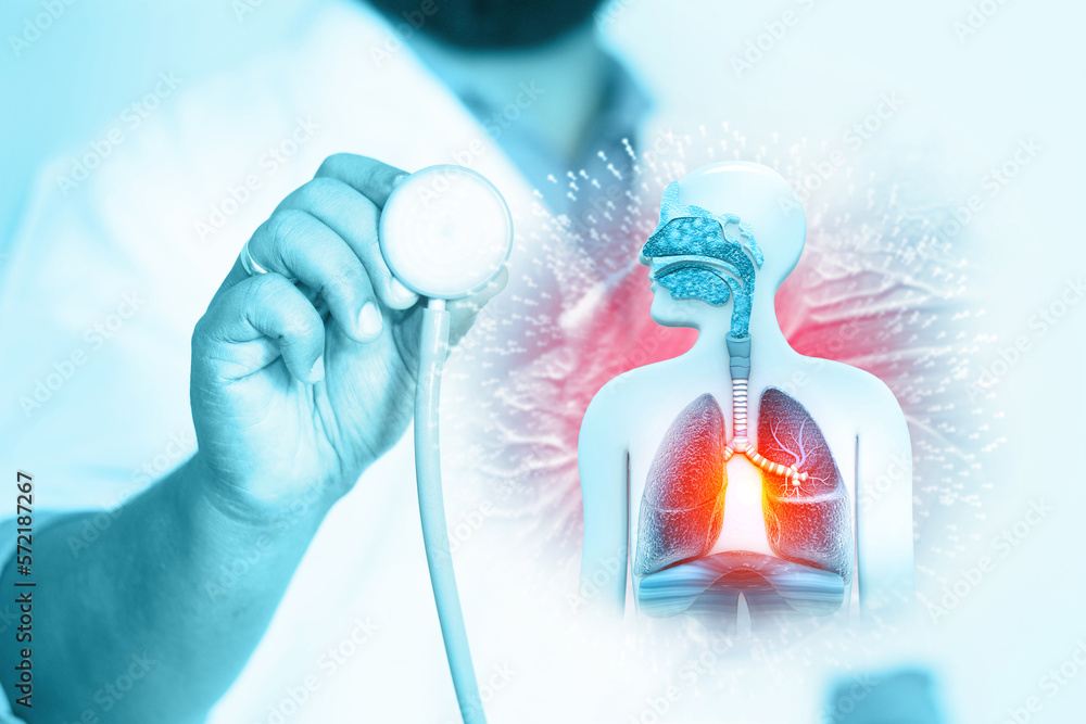 Doctor check and diagnose the Human Respiratory System Lungs Anatomy ...