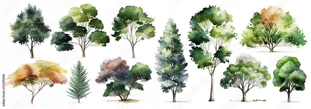Watercolor trees collection. Set of hand drawn trees. Forest tree pack ...