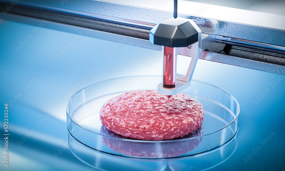 Beef meat 3d printing concept. Hamburger patty shape - New technologies ...