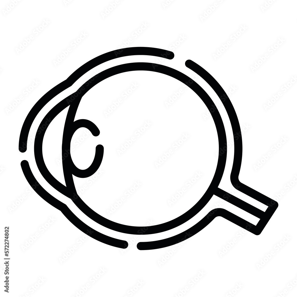 Anatomy of the eye, showing the outside and inside of the eye including ...