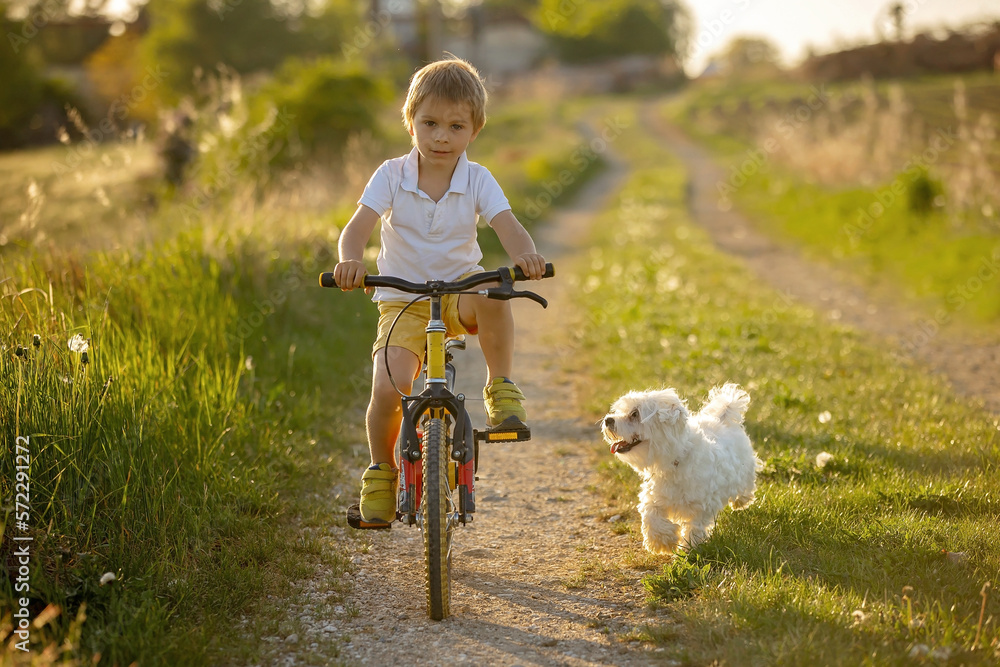 Cute child with pet dog, riding a bike in a rural field on sunset Stock ...