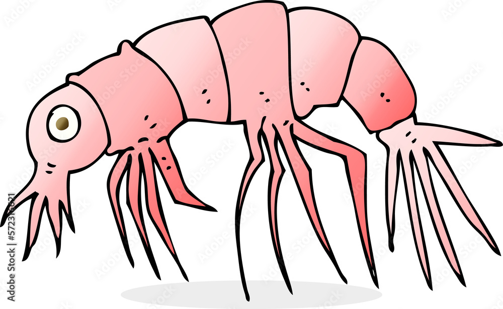 cartoon shrimp Stock Illustration | Adobe Stock