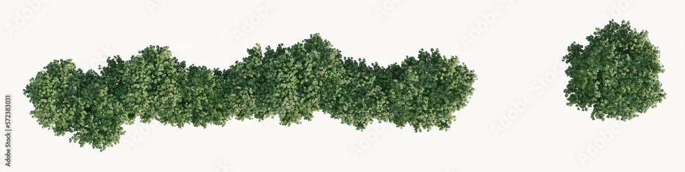 3d green bushes isolated on white background with 2D plan single plant ...