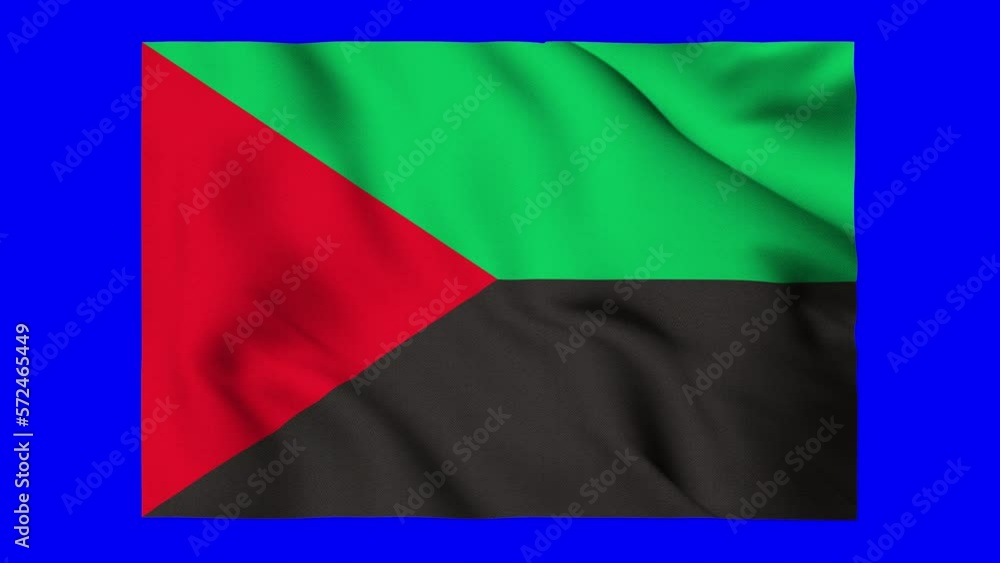 Flag of Martinique waving isolated by the alpha channel(transparent ...