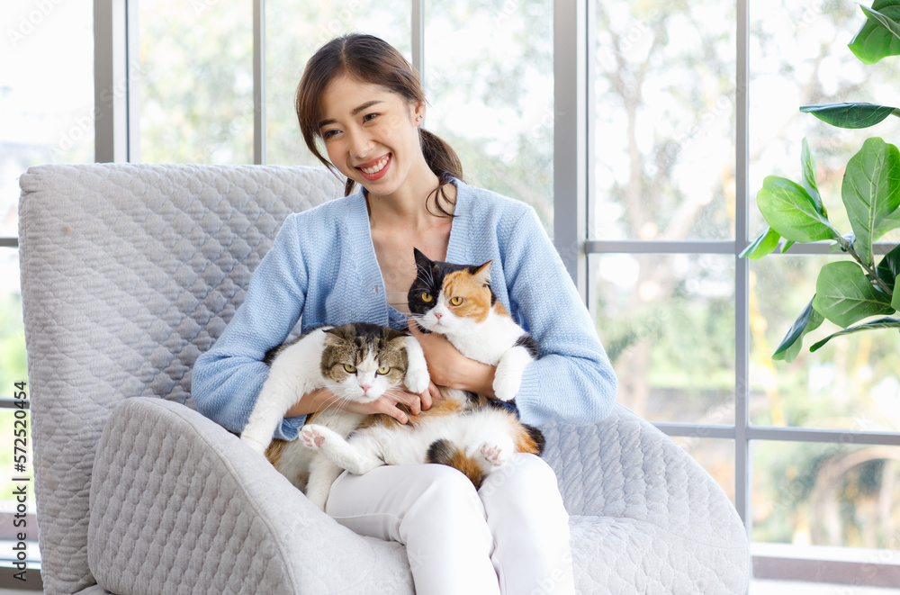 Millennial Asian young female owner sitting on cozy armchair smiling ...