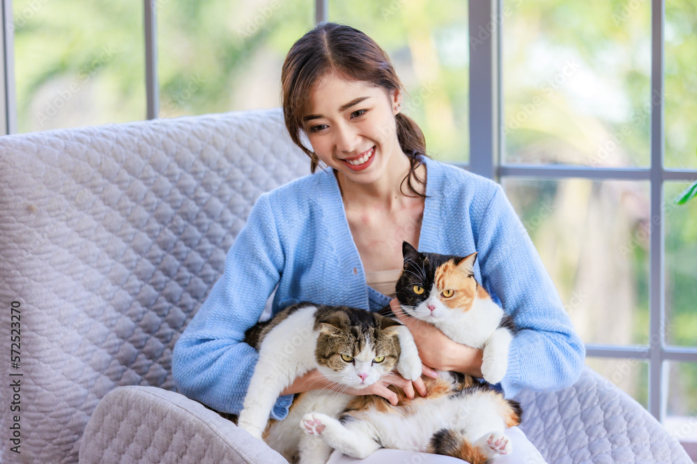 Millennial Asian young female owner sitting on cozy armchair smiling ...