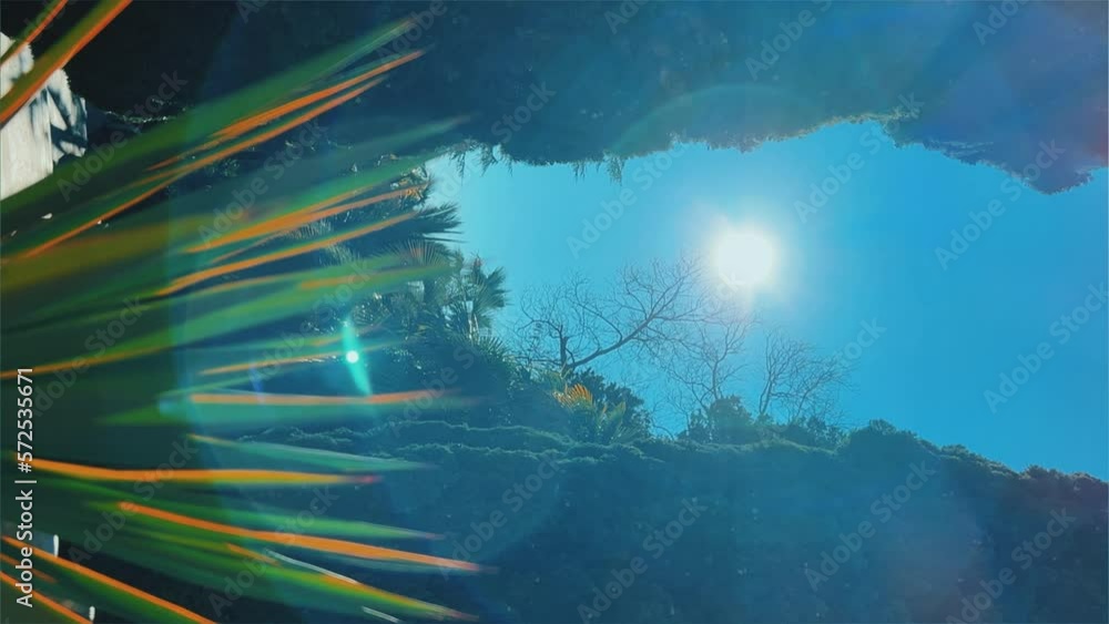 Video Stock SOCHI, RUSSIA - January 2023: The territory of the park in ...