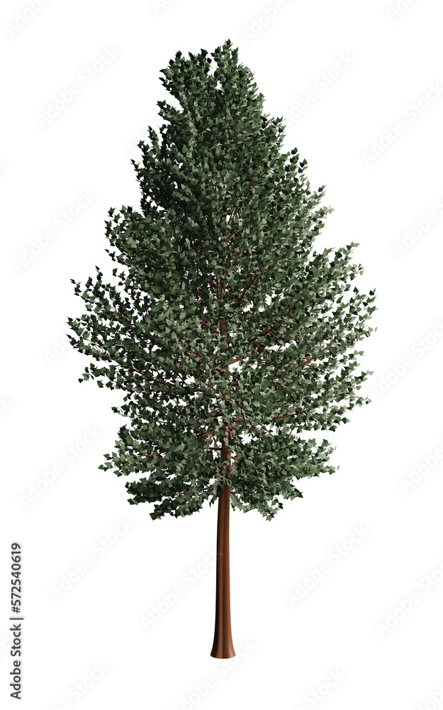 Tree transparent png view. isolated background. Stock Illustration ...