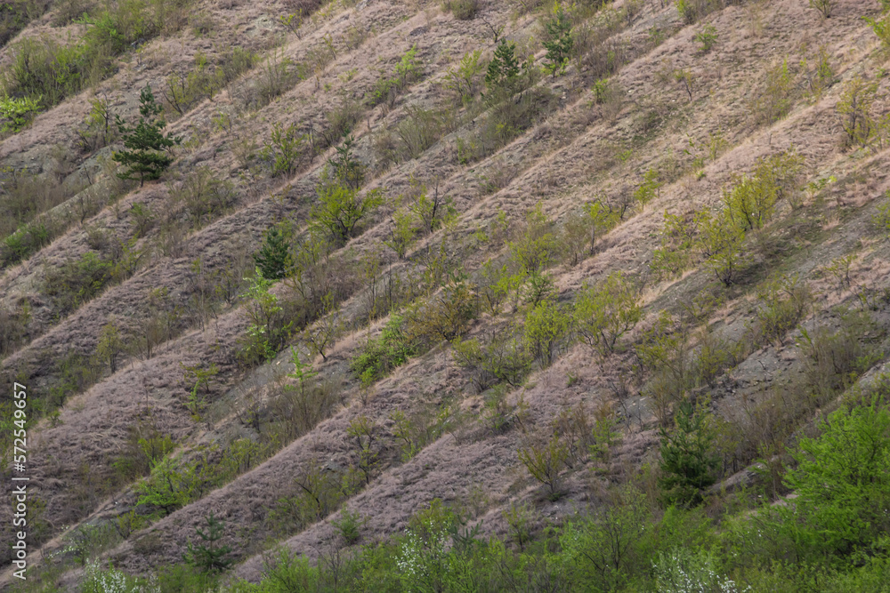 View ravine covered with greenery. Landscape valley with geological ...