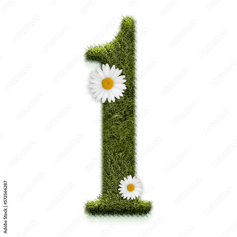 Spring Grass Flower numbers and symbols with realistic grass texture ...