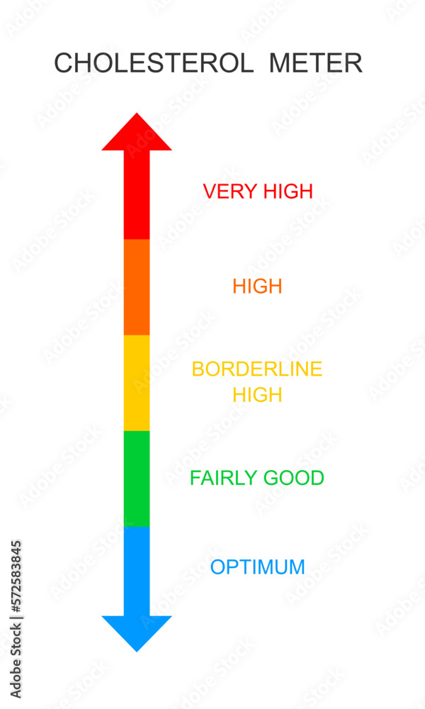 Cholesterol meter vertical scale. Atherosclerosis, hyperlipidemia ...