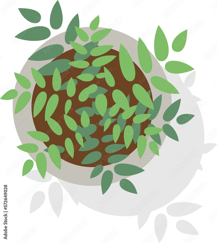 Plant, flower in pot top view. Colored png icons for projects, plans ...