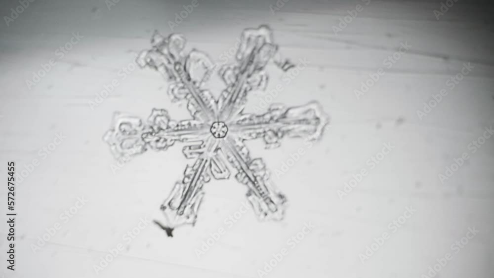 A lovely snowflake is formed from a drop of water under a microscope ...