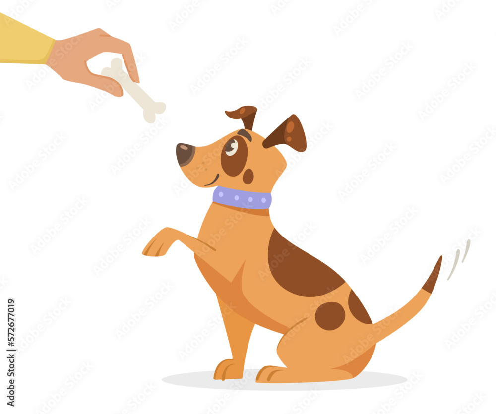 Hand giving bone to cute puppy character vector illustration. Cartoon ...