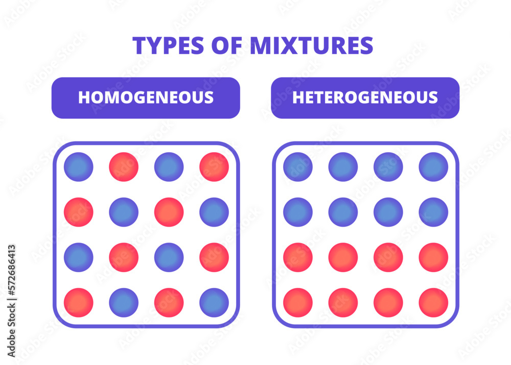 Vector scientific infographic of homogeneous and heterogeneous mixture ...