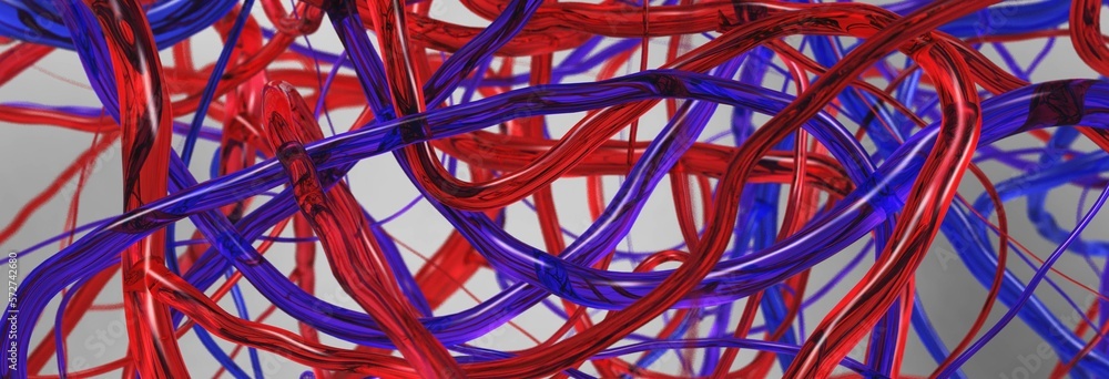 Blood vessels, circulatory system, veins and arteries, 3D rendering ...
