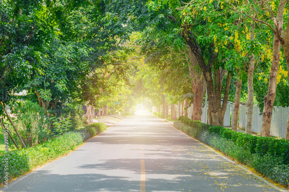 green road in modern city tree plant around the street for absorb ...