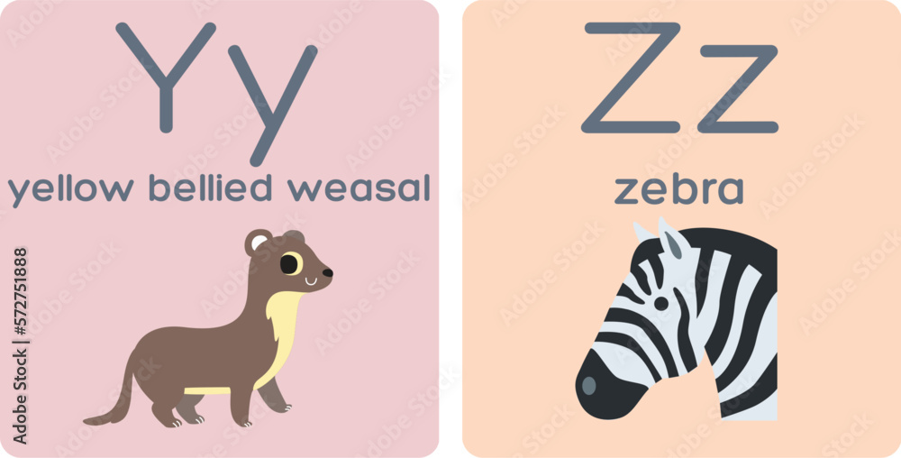 Rainbow Pastel Animal Alphabet Flashcards, kids learning flashcards ...