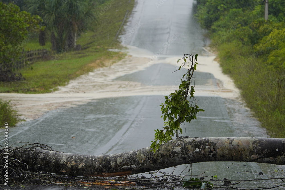 Dangerous situation, this tree fell on the road just before arriving at ...