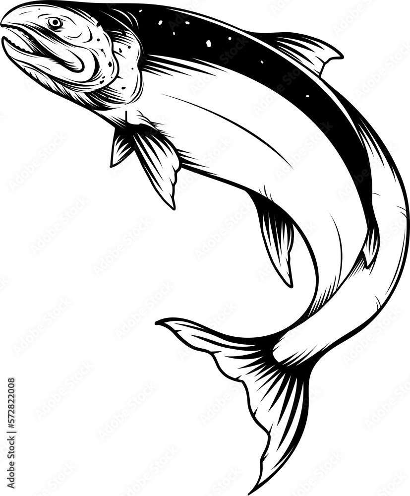 Salmon art highly detailed in line art style.Fish png by hand drawing ...