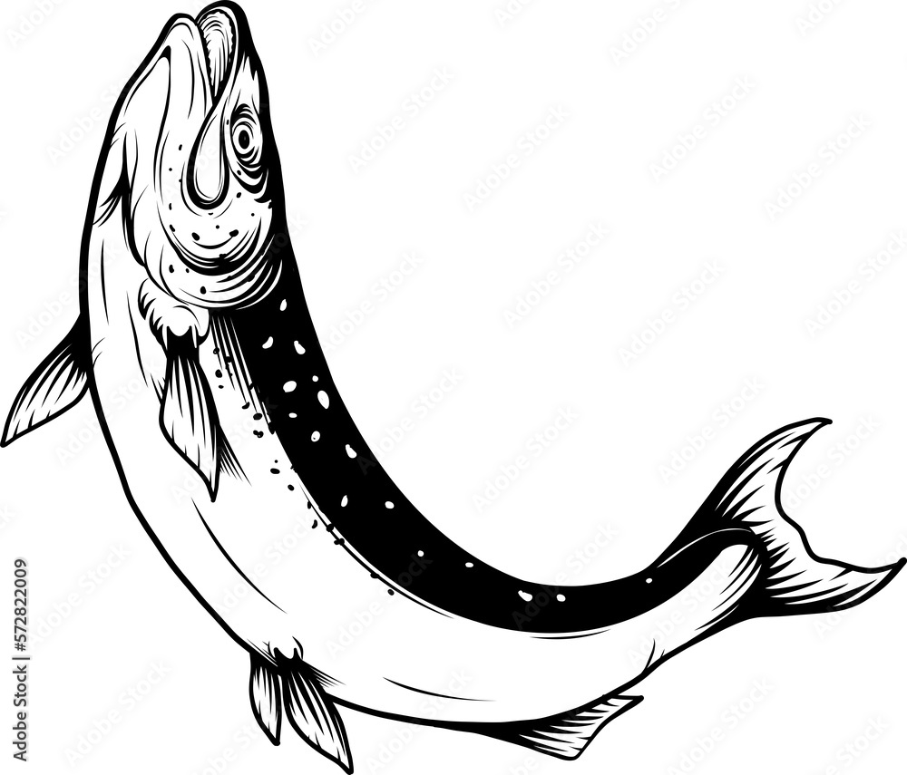 Salmon art highly detailed in line art style.Fish png by hand drawing ...
