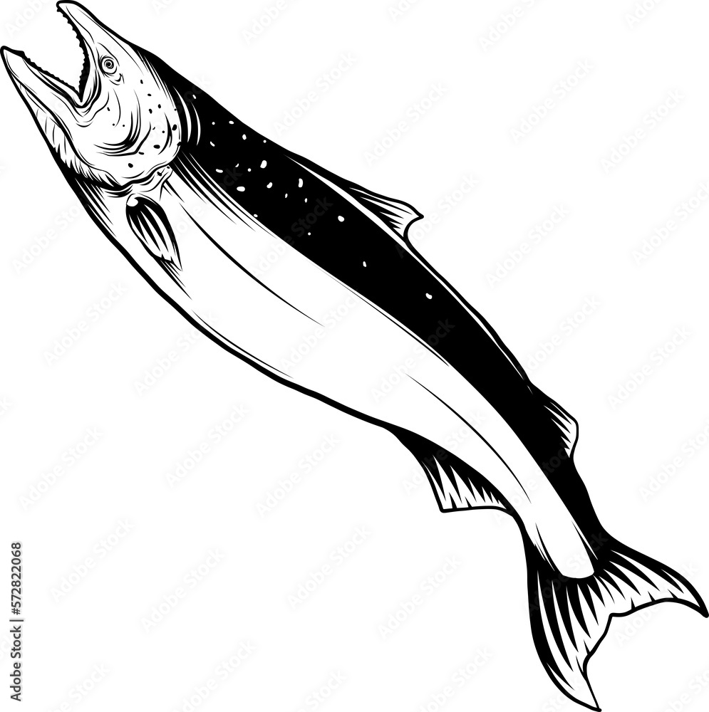 Salmon art highly detailed in line art style.Fish png by hand drawing ...