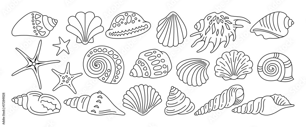 Sea shell, sink linear doodle set. Ocean exotic underwater seashell ...