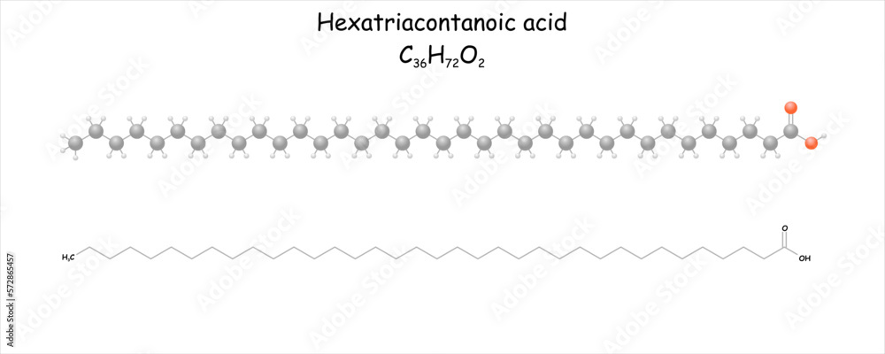 Simplified molecule model/structural formula of hexatriacontanoic acid ... Simplified molecule model/structural formula of hexatriacontanoic acid ...