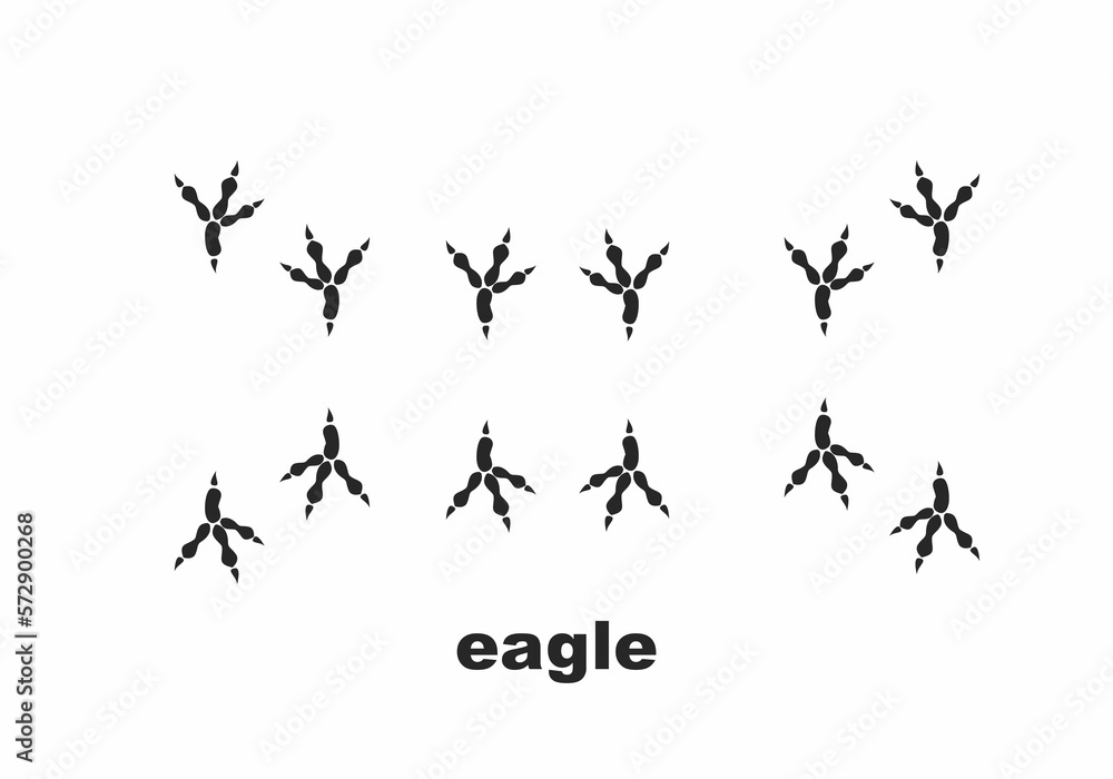 eagle footprints in black. Stock Vector | Adobe Stock
