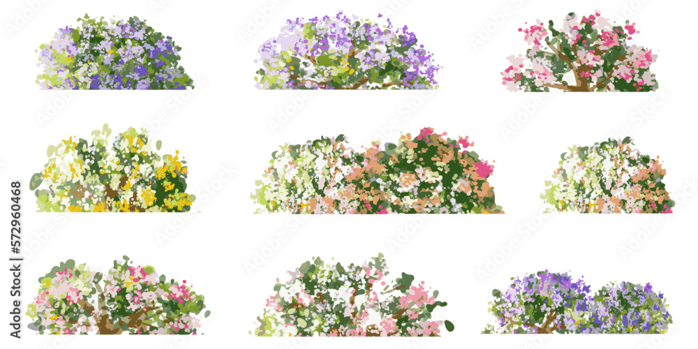 Vector watercolor blooming flower tree side view isolated on white ...