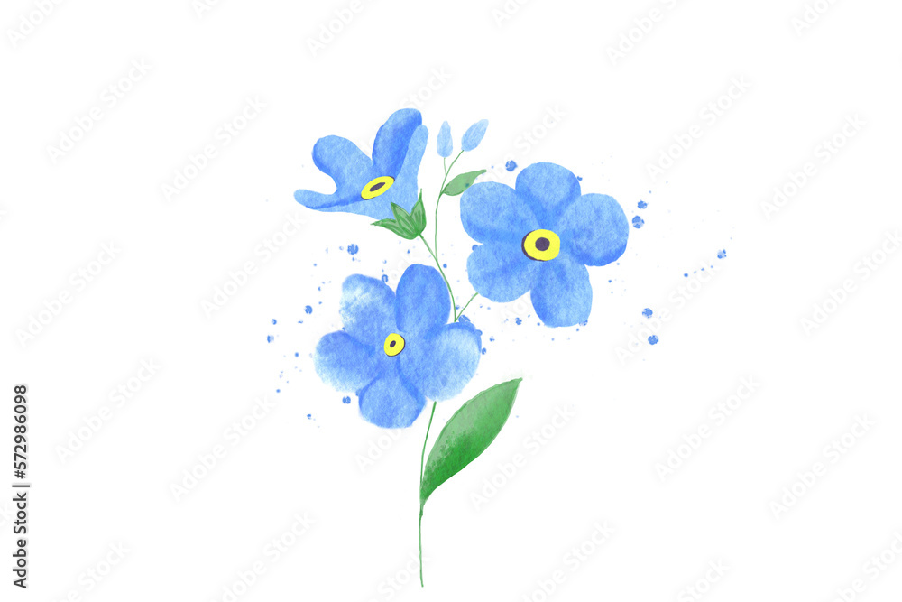 watercolor Forget me not flowers on transparent background PNG file ...