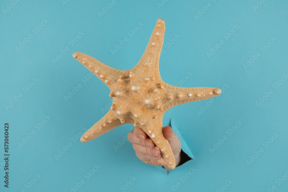 A hand with a starfish sticking out of a hole in a blue cardboard ...
