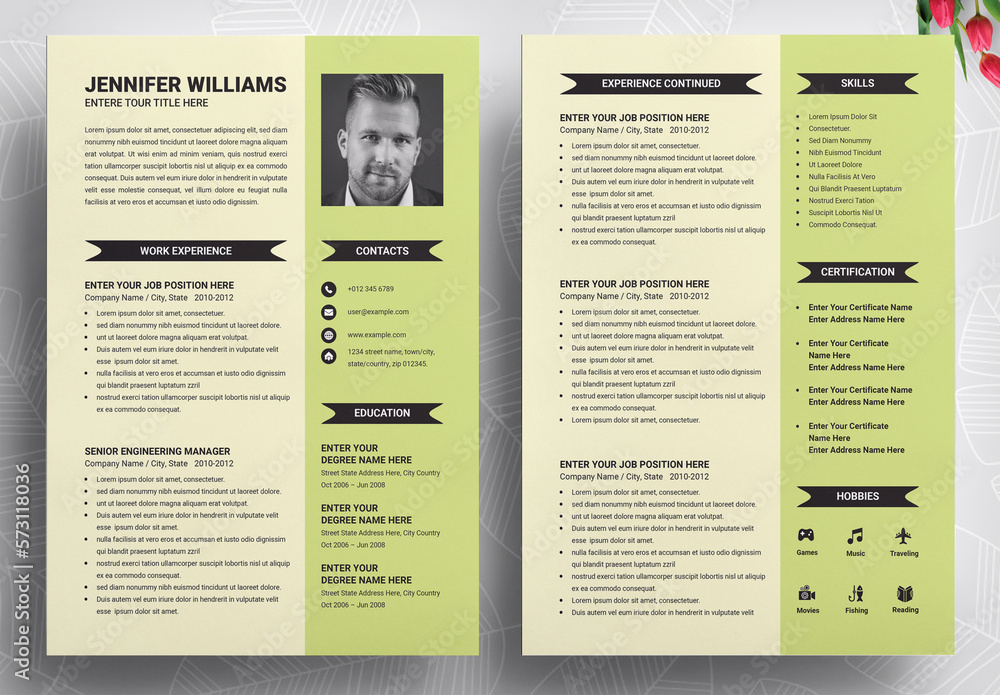 Professional Resume Design Template Stock Template | Adobe Stock
