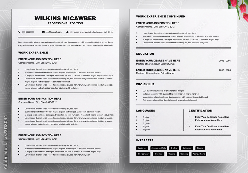 Resume Design Template Stock Template | Adobe Stock