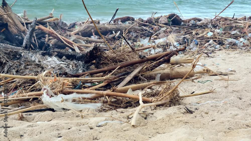 garbage incineration, Tropical beach completely covered with garbage ...