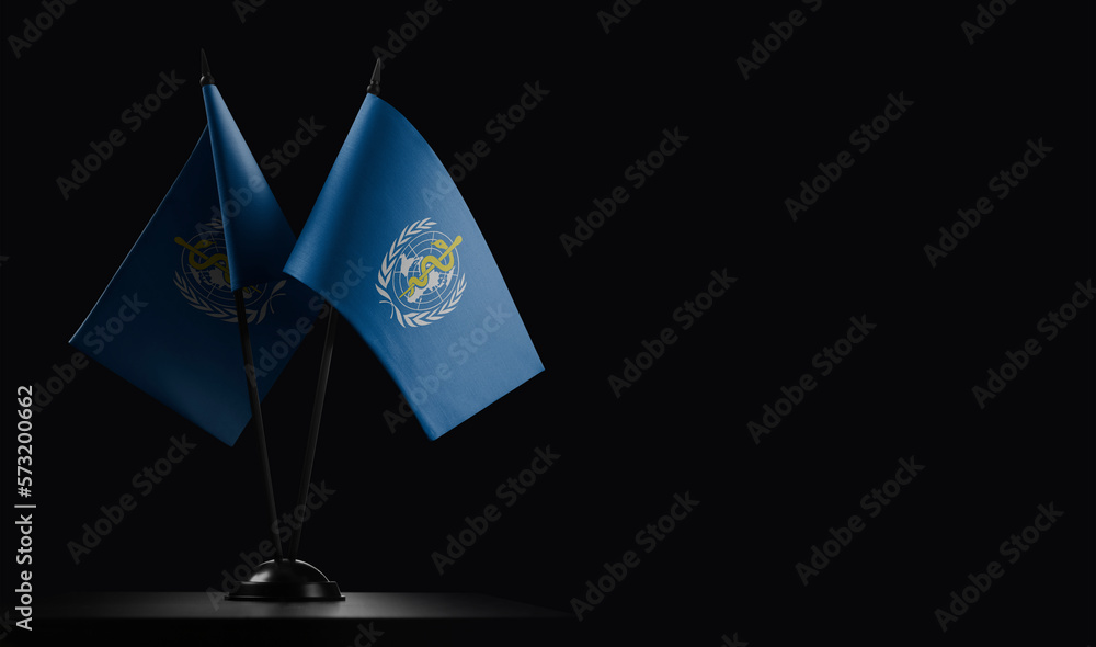 Small national flags of the World Health Organization WHO on a black ...
