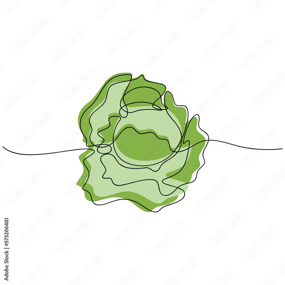 Green cabbage vector. Line continuous hand drawn illustration ...