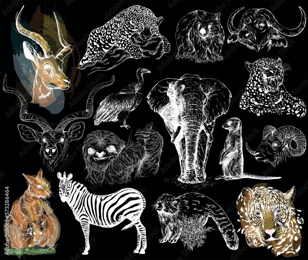 Big set of hand drawn sketch style animals isolated on black background ...