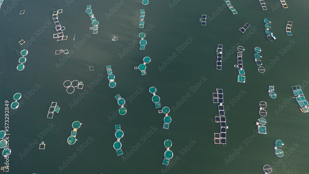 Fish farm with cages for fish and shrimp. Fish ponds for bangus ...